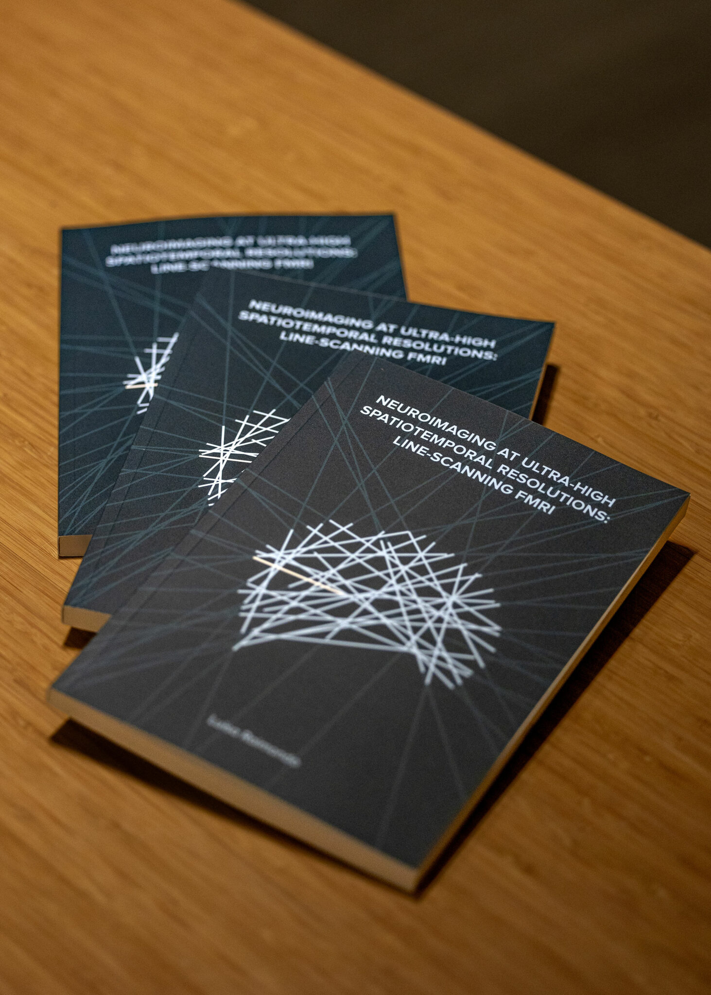 Dr Raimondo succesfully defended her PhD thesis “Neuroimaging at ultra ...